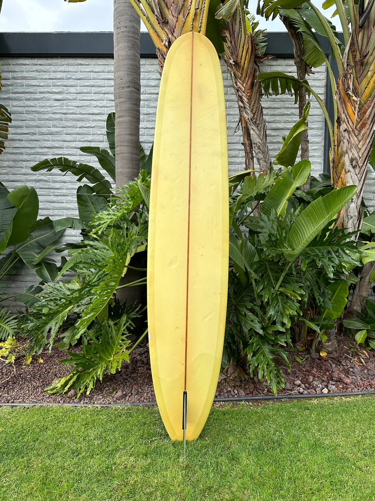 9'7" Gato Heroi Playboy (Used) – Daydream Surf Shop