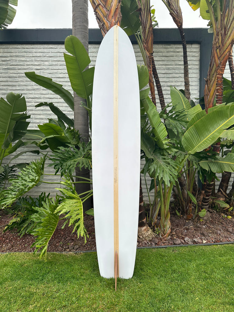 9'8" Fantastic Acid Malibu Chip – Daydream Surf Shop