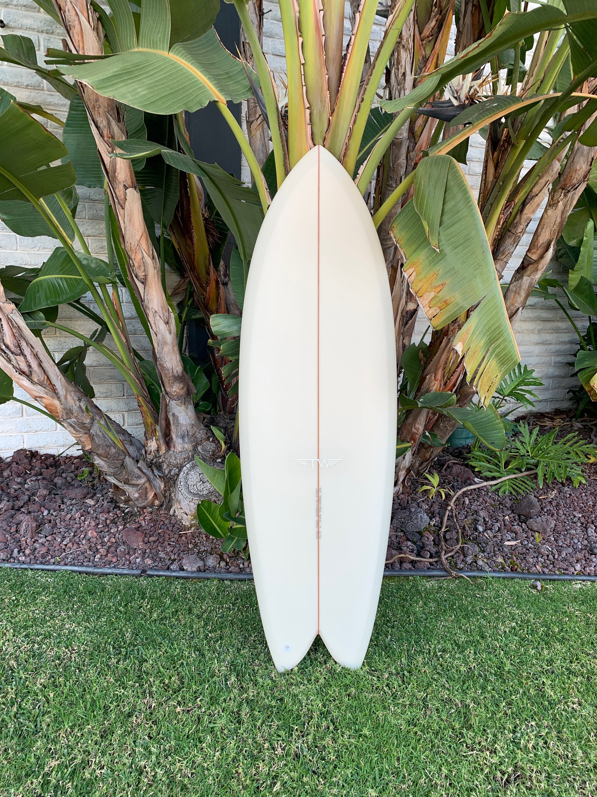 5'6" Tyler Warren Dream Fish – Daydream Surf Shop